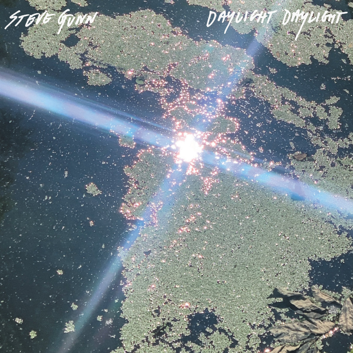 Steve Gunn - Daylight Daylight LP – Dandelion Records